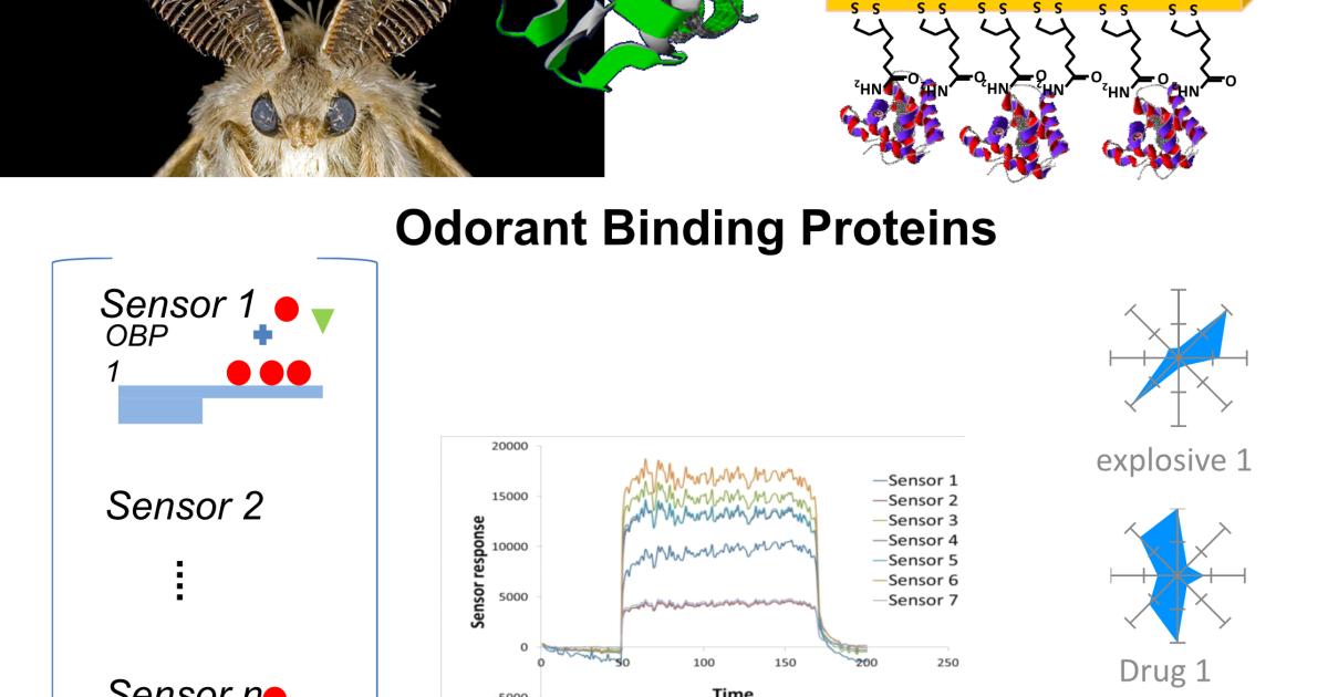 Bioelectronic Noses – an emerging field | Microsystems Technology ...