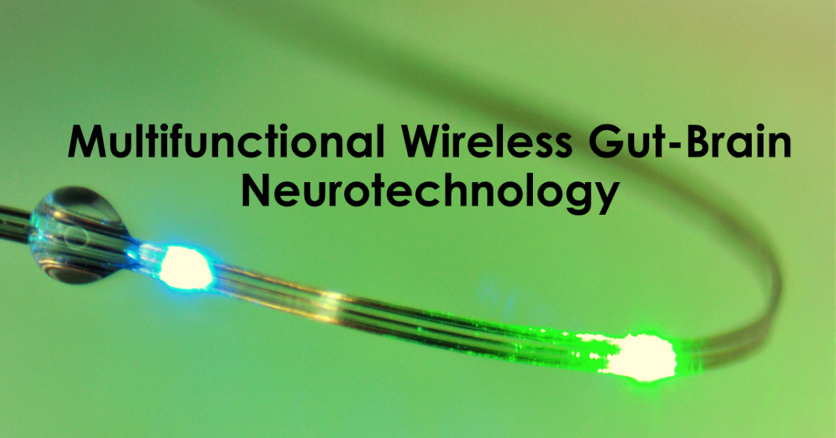 Multifunctional Wireless Gut-Brain Neurotechnology | Microsystems ...