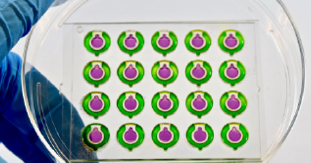 Open Microfluidic Tools for Cell Signaling Studies and At-home blood ...